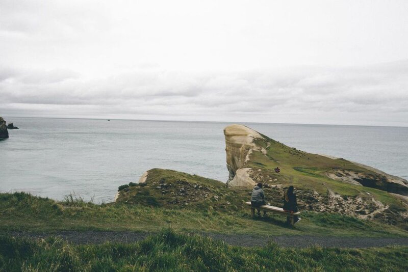 Dunedin: 10 Fantastic Things to See and Do