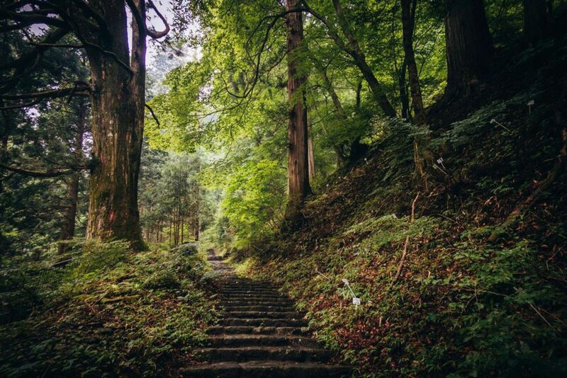 The Ultimate Guide to Hiking and Things to Do in Nikko