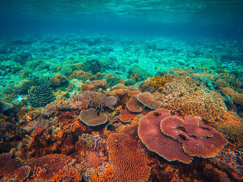 What to Do on Atauro Island, Timor Leste