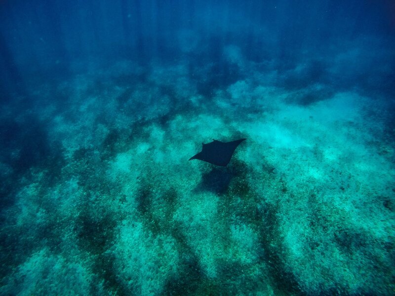 The Backpacking Travel Guide to Komodo Islands, Indonesia