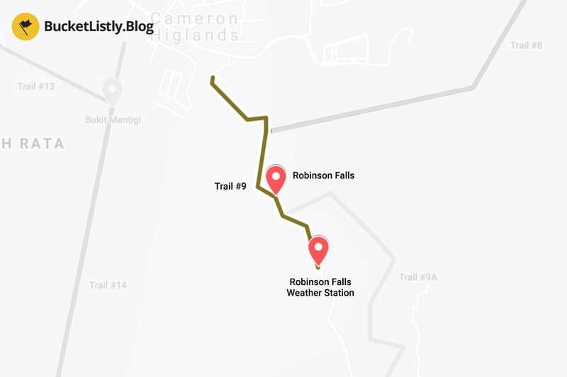 A Complete Hiking Guide to Cameron Highlands, Malaysia