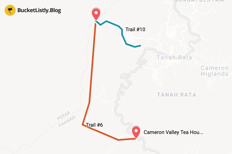 A Complete Hiking Guide to Cameron Highlands, Malaysia