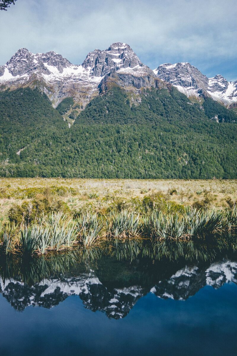 The Ultimate Hiking Guide to the Routeburn Track, New Zealand - How to ...