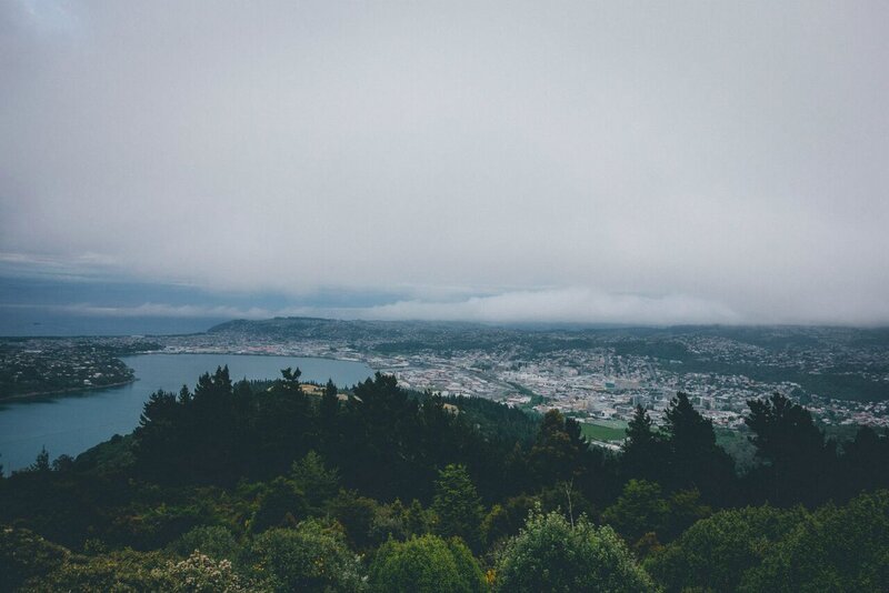 Dunedin: 10 Fantastic Things to See and Do