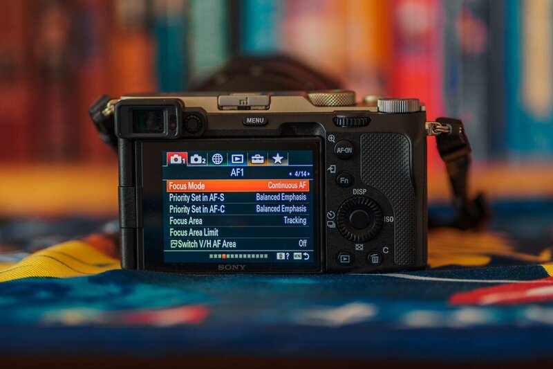 15 Tips & Tricks For Your New Sony a7C, a7III, and More
