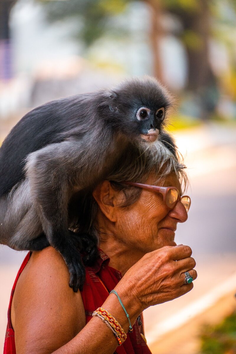 10 Awesome Things to Do in Prachuap Khiri Khan for Solo Travelers