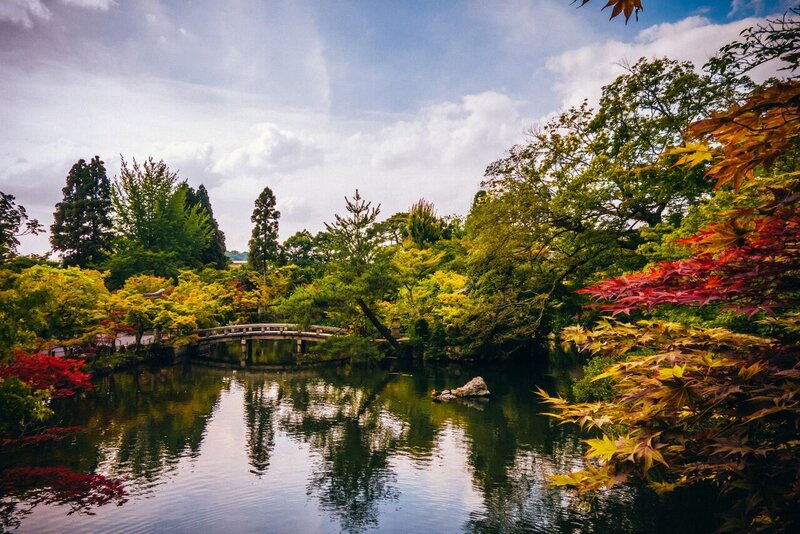16 Amazing Things to Do in Kyoto for Solo Travelers