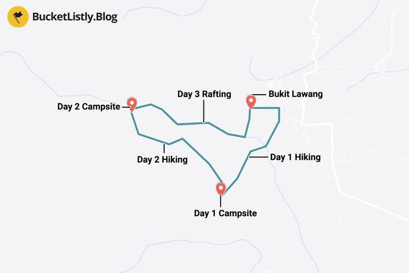 A Complete Guide to Orangutan Trekking in Bukit Lawang