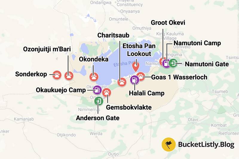 A Complete Self-Drive Safari Guide to Etosha National Park