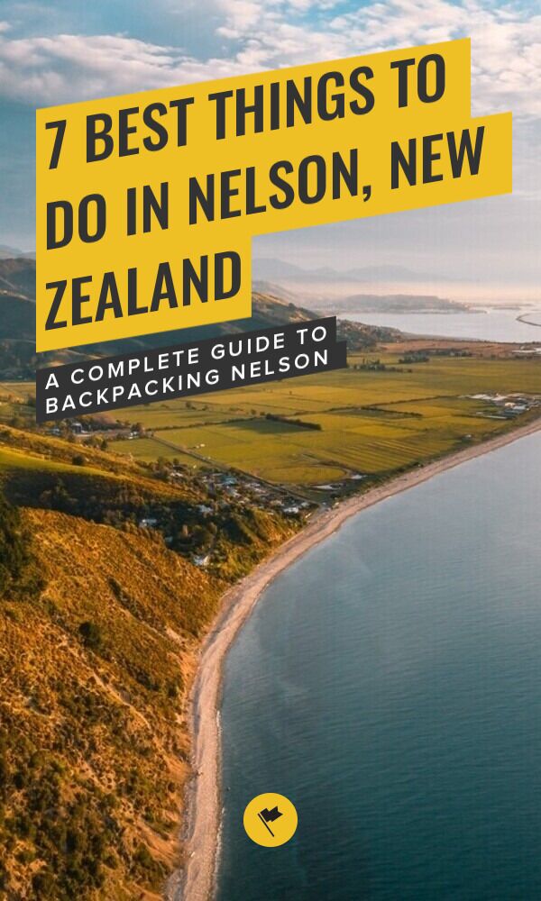 7 Fantastic Things to Do in Nelson, New Zealand for Solo Travelers