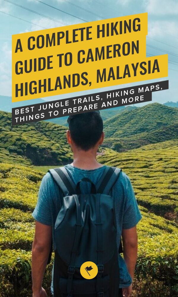 A Complete Hiking Guide to Cameron Highlands, Malaysia