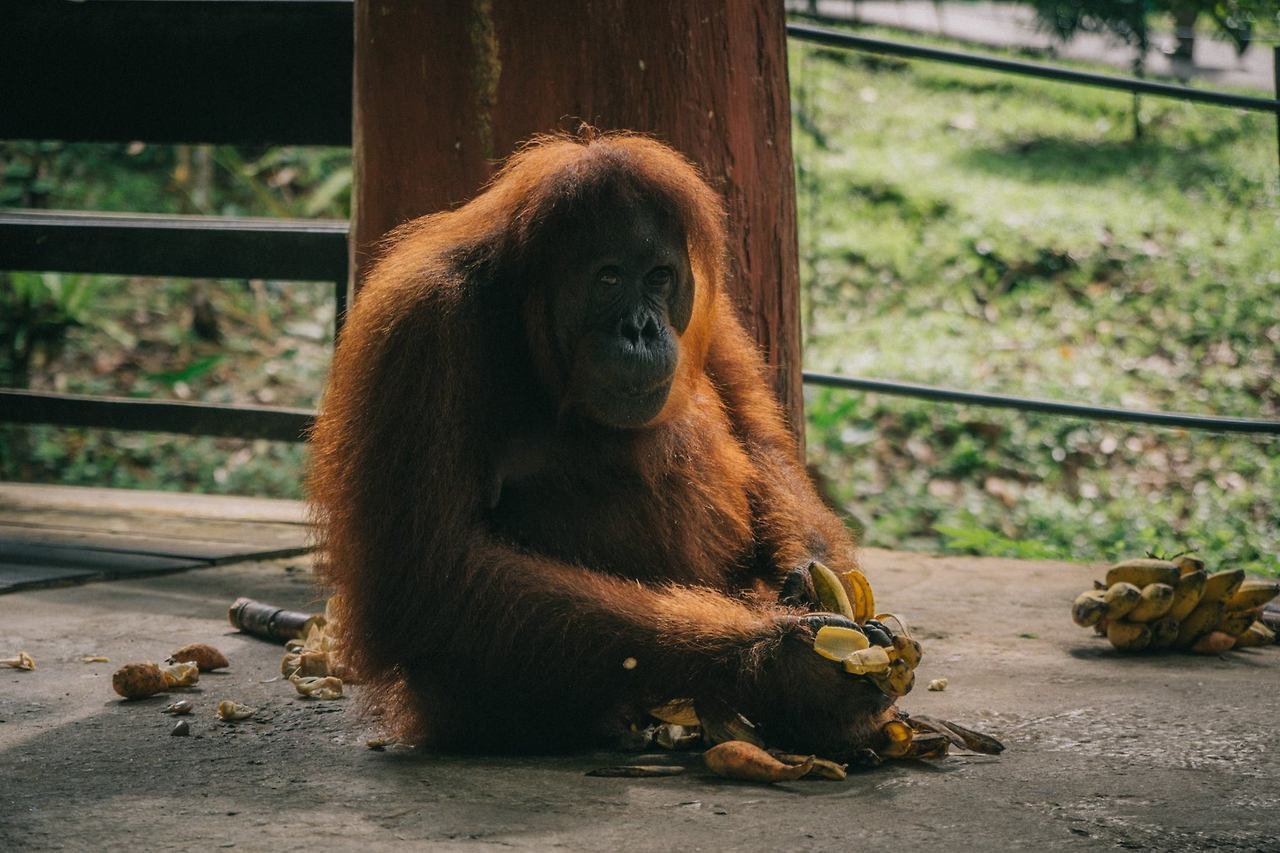 10 Best Wildlife Destinations You Have to Experience Once in Your Life