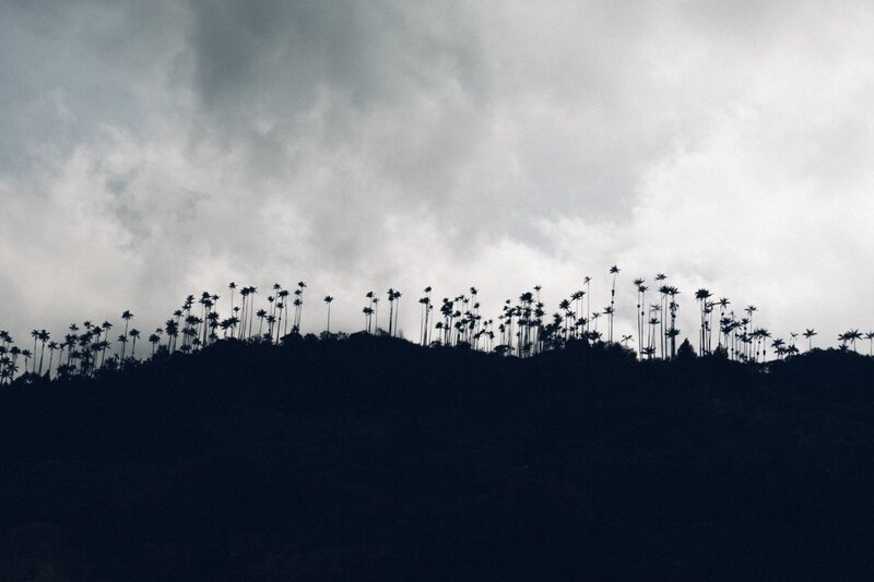 The Ultimate Hiking Guide to Valle del Cocora (Cocora Valley)