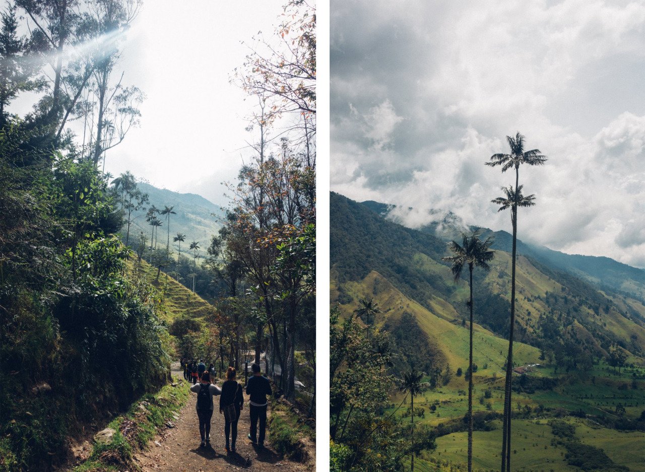 The Ultimate Hiking Guide to Valle del Cocora (Cocora Valley)