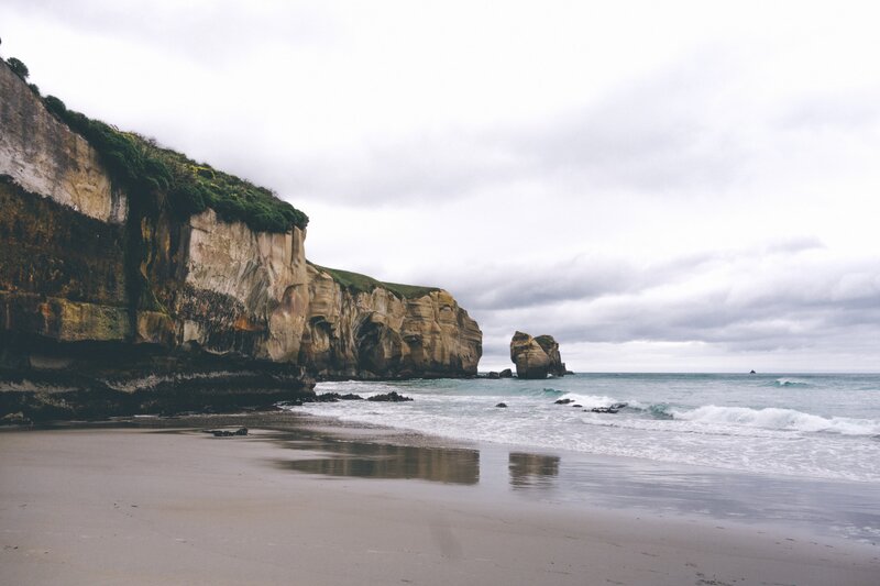 Dunedin: 10 Fantastic Things to See and Do