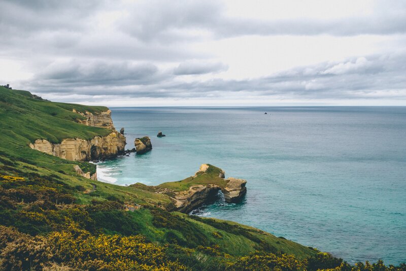 Dunedin: 10 Fantastic Things to See and Do