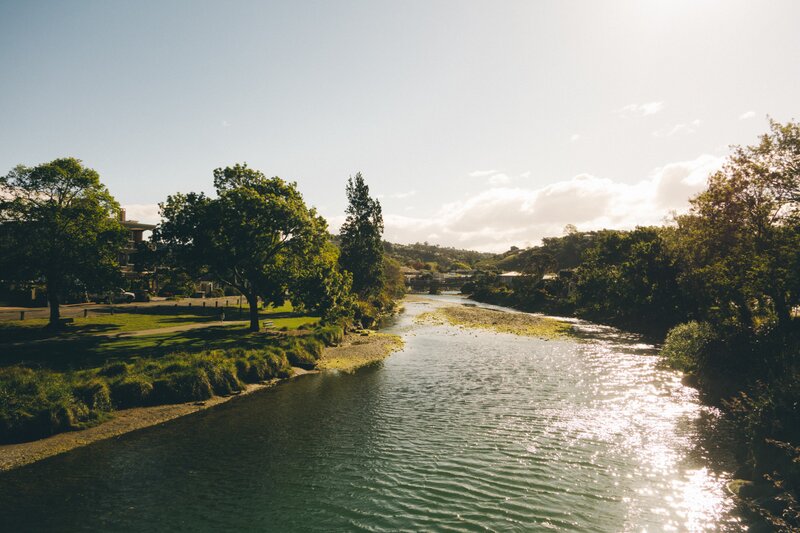 Explore Nelson, NZ: 7 Fantastic Things to See and Do