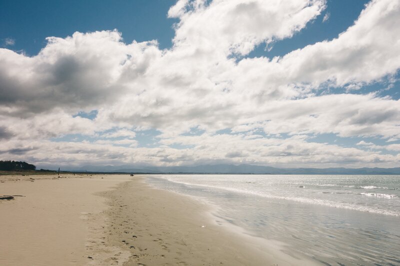 Explore Nelson, NZ: 7 Fantastic Things to See and Do