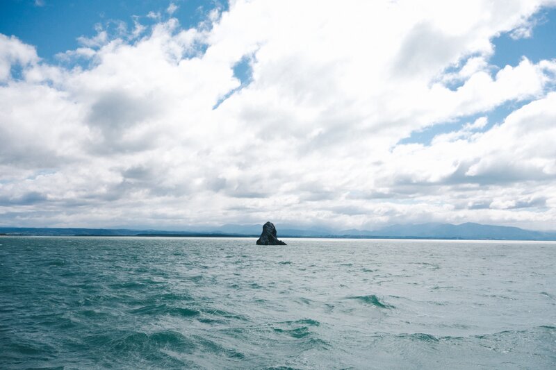 Explore Nelson, NZ: 7 Fantastic Things to See and Do