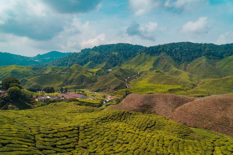 Discover Malaysia: 10 Best Places You Shouldn't Miss