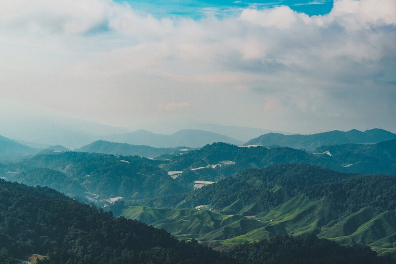 A Complete Hiking Guide to Cameron Highlands, Malaysia