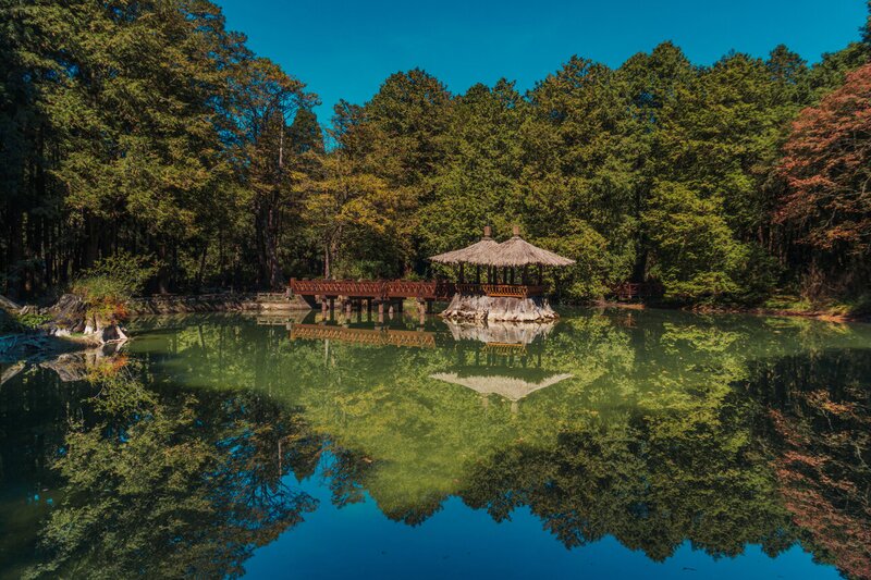 Explore Alishan: Your Ultimate Travel Itinerary