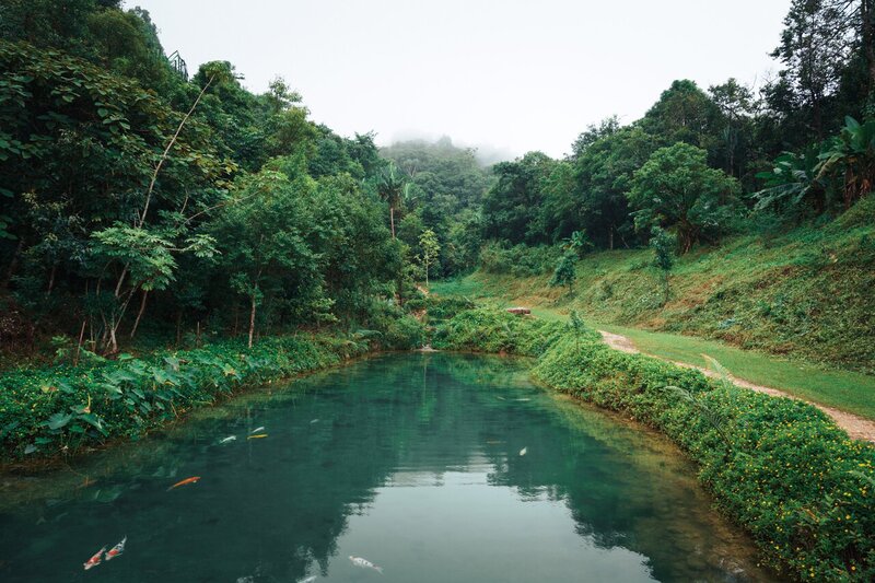 7 Awesome Things to Do in Pilok, Thailand for Solo Travelers