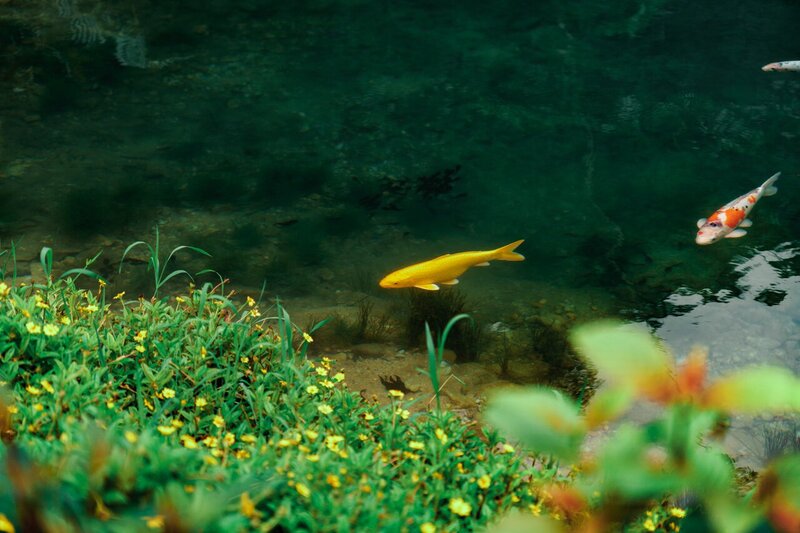 7 Awesome Things to Do in Pilok, Thailand