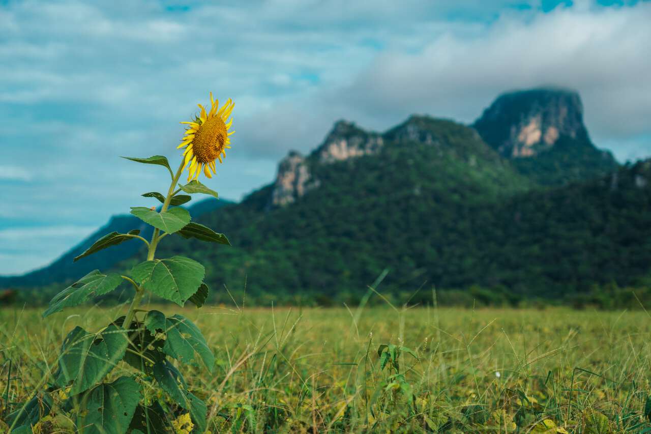 10 Best Things to Do in Lopburi - The Ultimate Backpacking Guide to ...