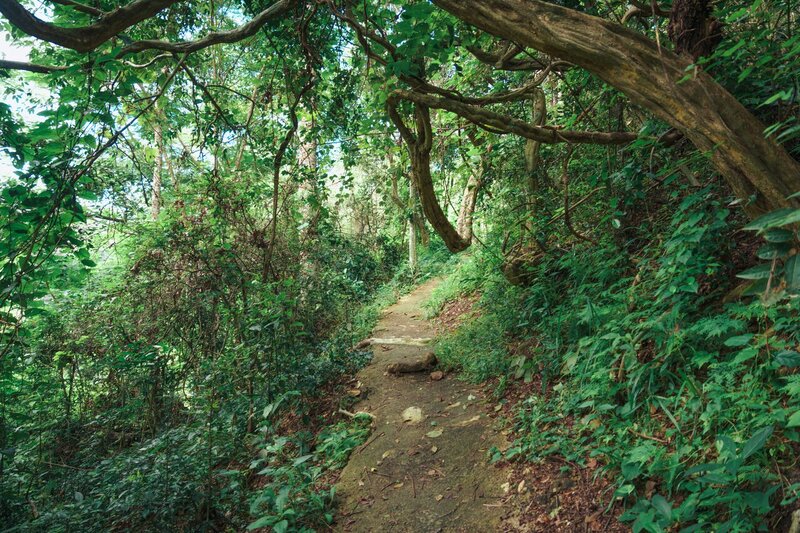 7 Wonderful Things to Do in Saraburi, Thailand