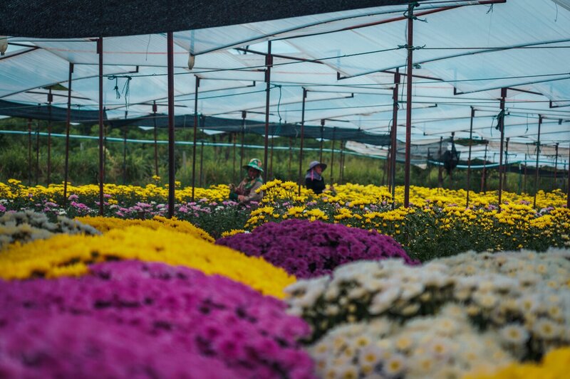 7 Wonderful Things to Do in Saraburi, Thailand