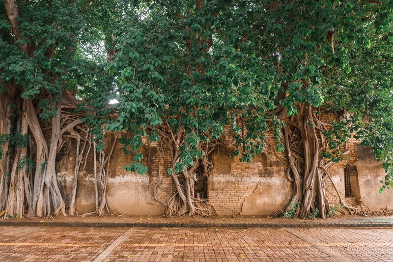 8 Incredible Things to Do in Singburi, Thailand