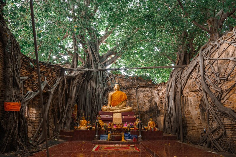 8 Incredible Things to Do in Singburi, Thailand