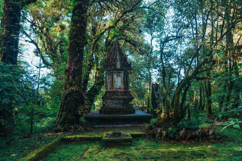 Explore Doi Inthanon Like a Local: 7 Awesome Things to See and Do