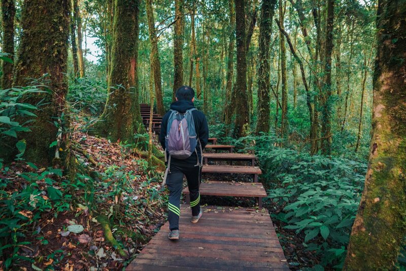 Explore Doi Inthanon Like a Local: 7 Awesome Things to See and Do