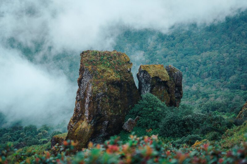 Explore Doi Inthanon Like a Local: 7 Awesome Things to See and Do