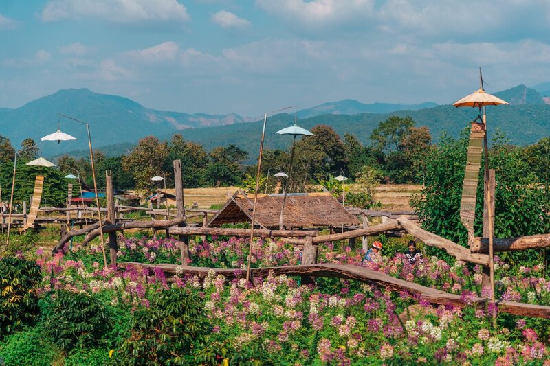 Explore Nan: 16 Coolest Things to Do & Places to Visit