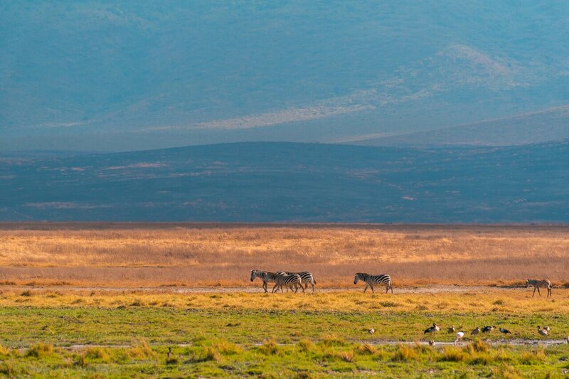 10-14 Days in Tanzania: The Ultimate Backpacker’s Itinerary