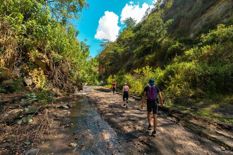 Discover Kenya: 10 Awesome Things to See and Do