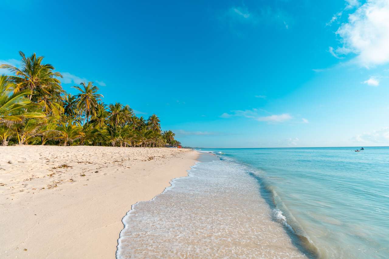 How To Get To Diani Beach Kenya How To Get To Diani Beach Kenya