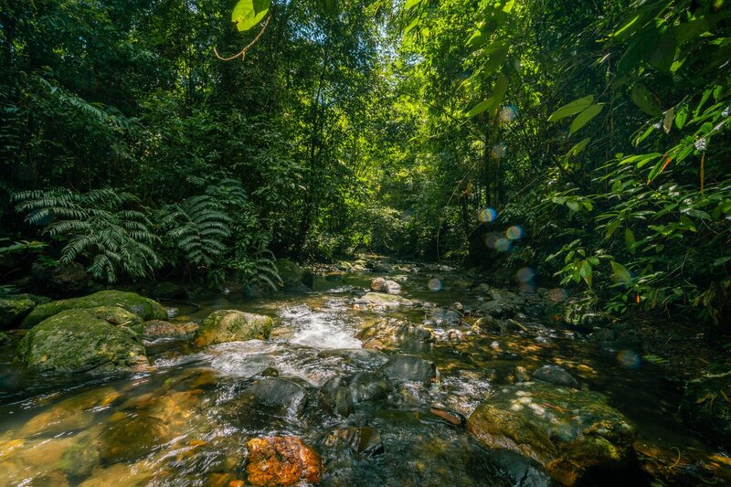 10 Amazing Things to Do in Phang Nga for Solo Travelers