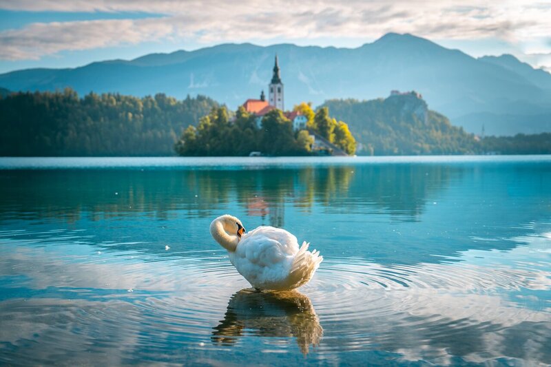 Explore Lake Bled: Top 10 Wonders You Shouldn’t Miss