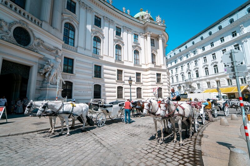 Vienna’s Best: 16 Things You Can’t Miss