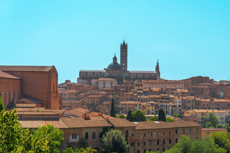 Discover Siena: Top 10 Experiences You’ll Lov
