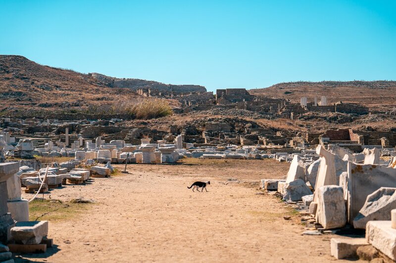 The Ultimate Guide to Backpacking Delos