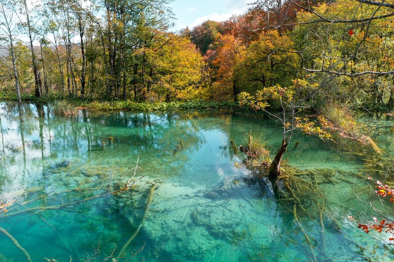 Explore Zadar: 12 Incredible Things You Can’t Miss