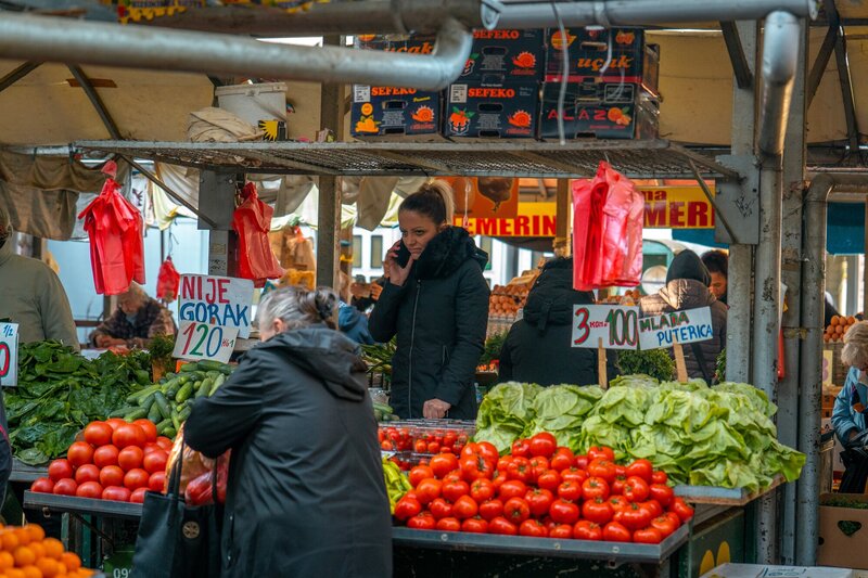 Exploring Novi Sad: 11 Unforgettable Things to Do, and More
