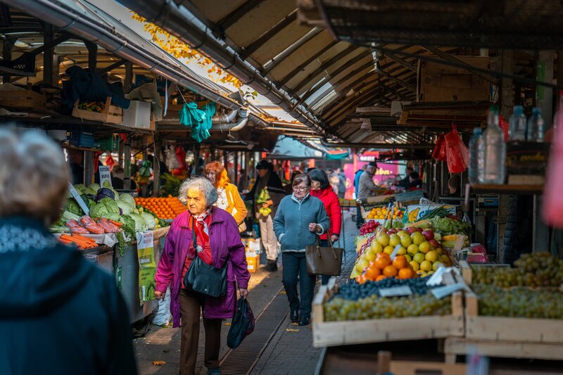Exploring Novi Sad: 11 Unforgettable Things to Do, and More