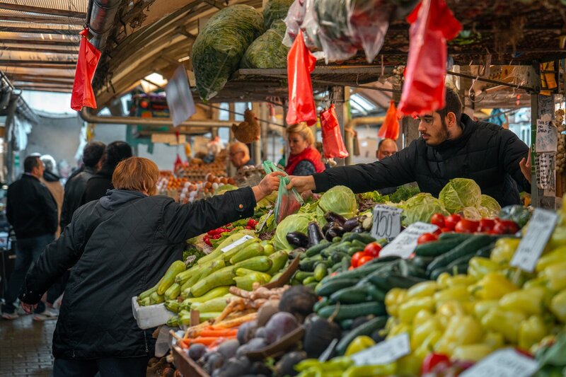 Exploring Novi Sad: 11 Unforgettable Things to Do, and More