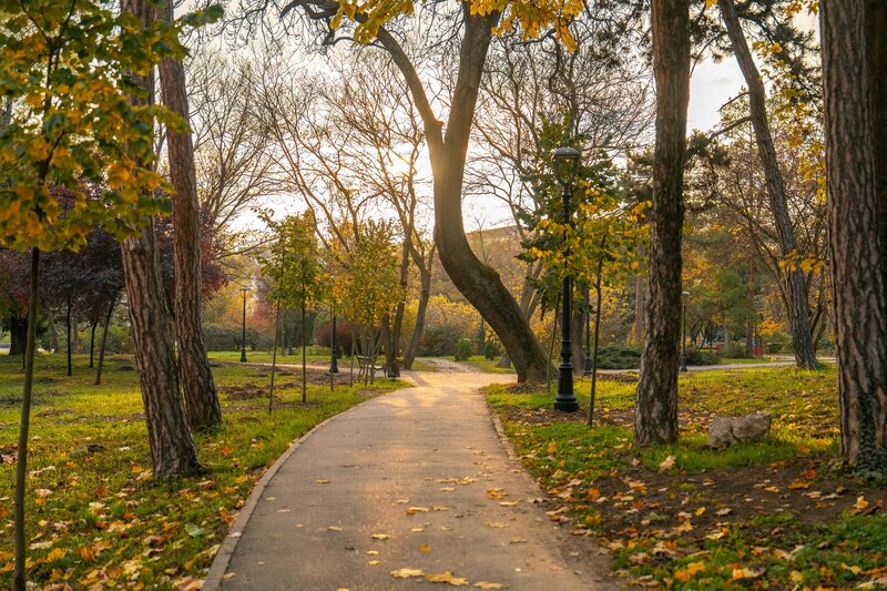 Discover Timisoara: 10 Things to See and Do